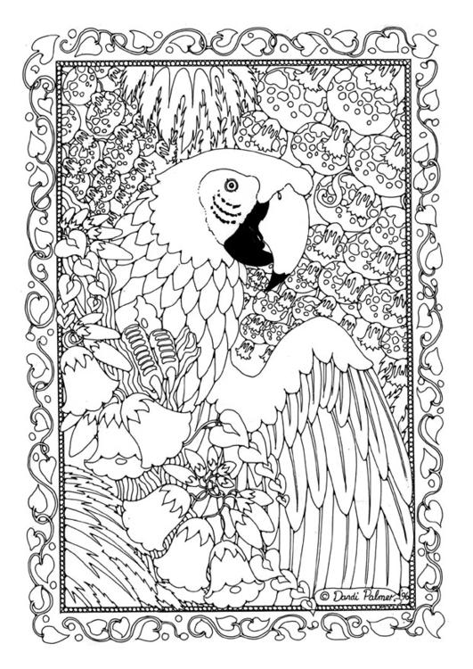Dibujo de Ara Para Colorear - Img 9204