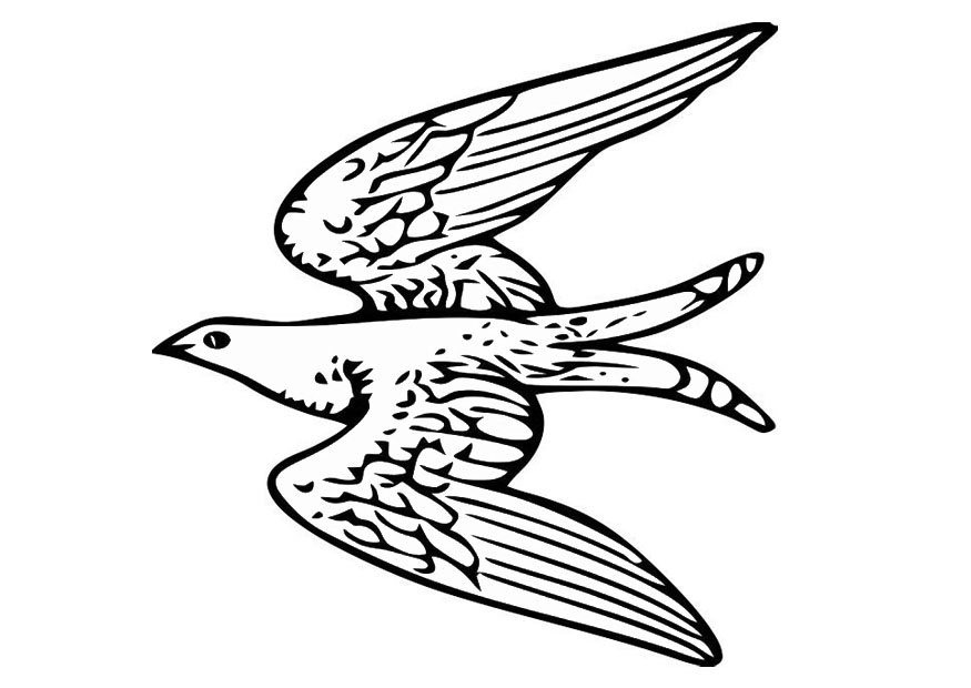 Dibujo De Pájaros Volando