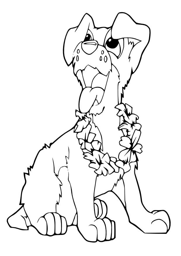 Dibujo de Perrito Para Colorear - Img 9967